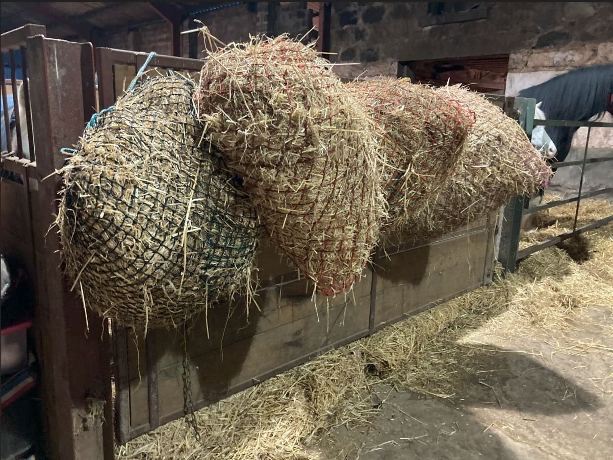 Haylage Vs. Hay: Which Is Better For Horses? | Strathorn Farm Stables