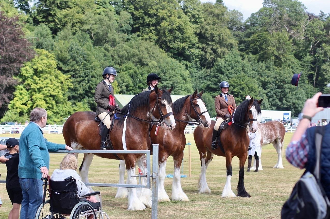 The Origins of the Clydesdale Horse | Strathorn Farm Stables
