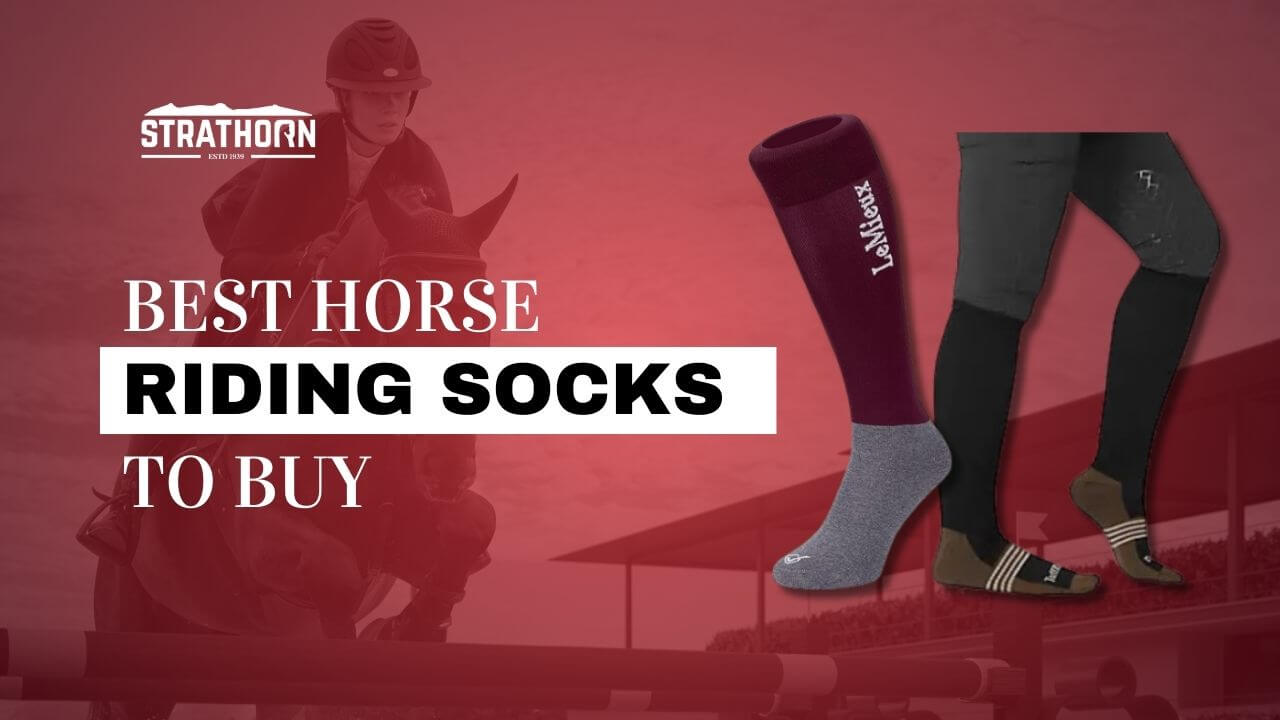 The 7 Best Horse Riding Socks | Strathorn Farm
