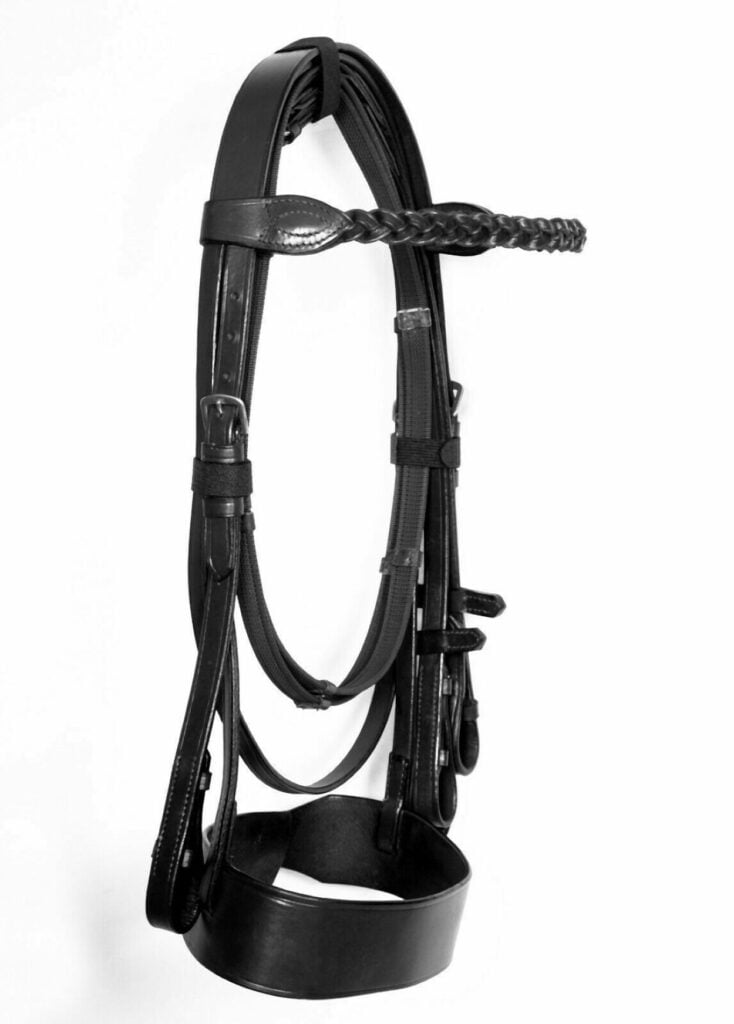 The Different Types Of Horse Bridles | Strathorn Farm Stables