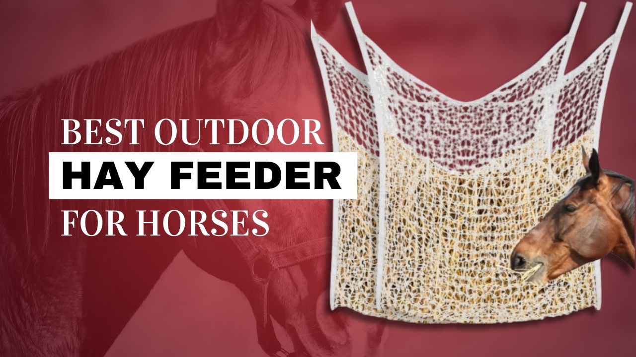 The Best Outdoor Hay Feeder For Horses | Strathorn Farm