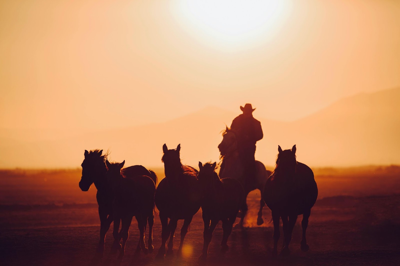 16+ Loveable Horses From Disney Movies - Strathorn Farm Stables